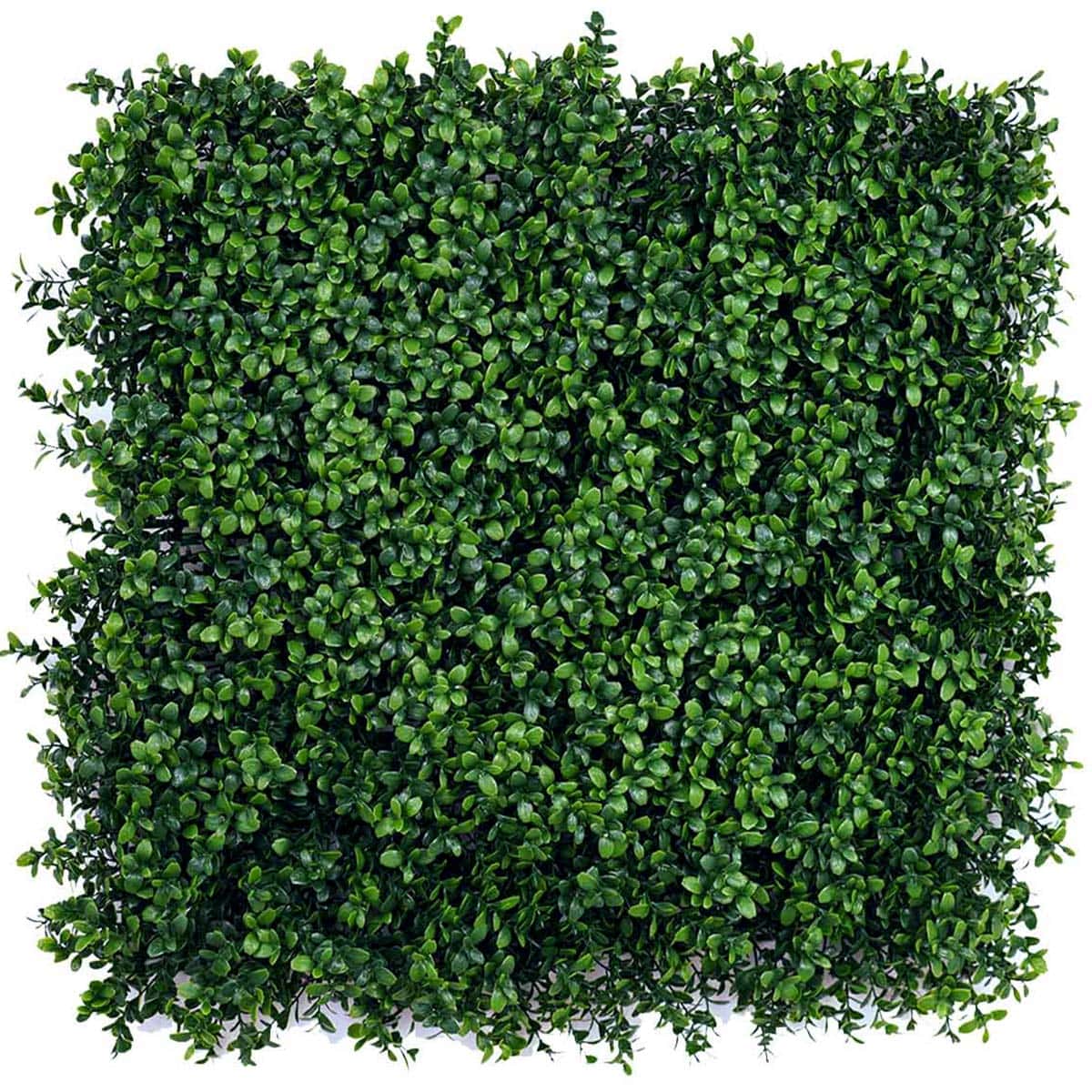 Artificial Hedge Tile - Buxus Premium | ReadyLeaf