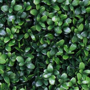 Artificial Hedge Tiles for instant greenery | ReadyLeaf