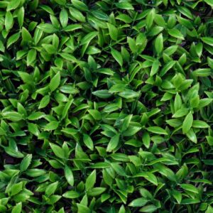 Artificial Hedge Tiles for instant greenery - ReadyLeaf