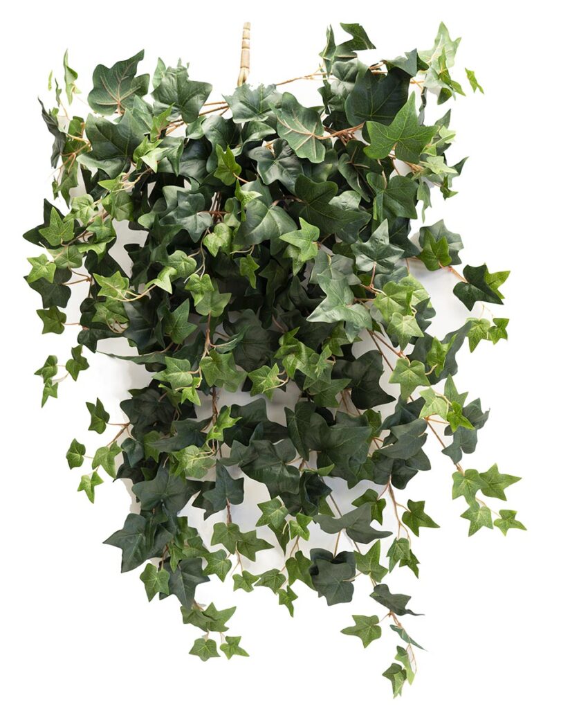 Artificial English Ivy - versatile and very popular. A great hanging plant