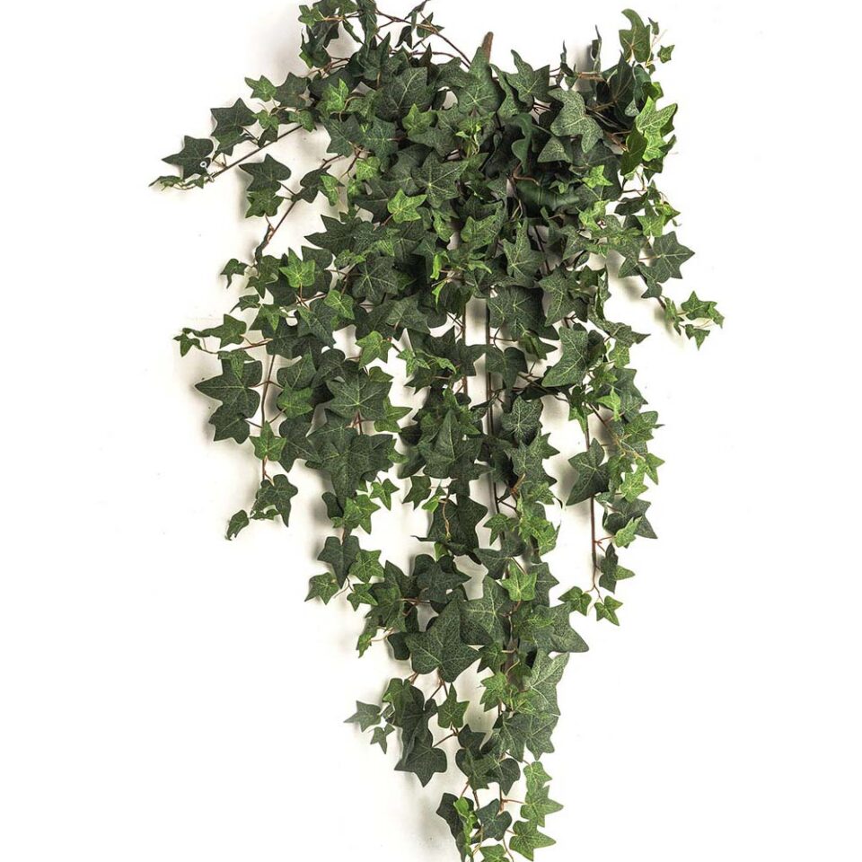 Artificial English Ivy - versatile and very popular. A great hanging plant