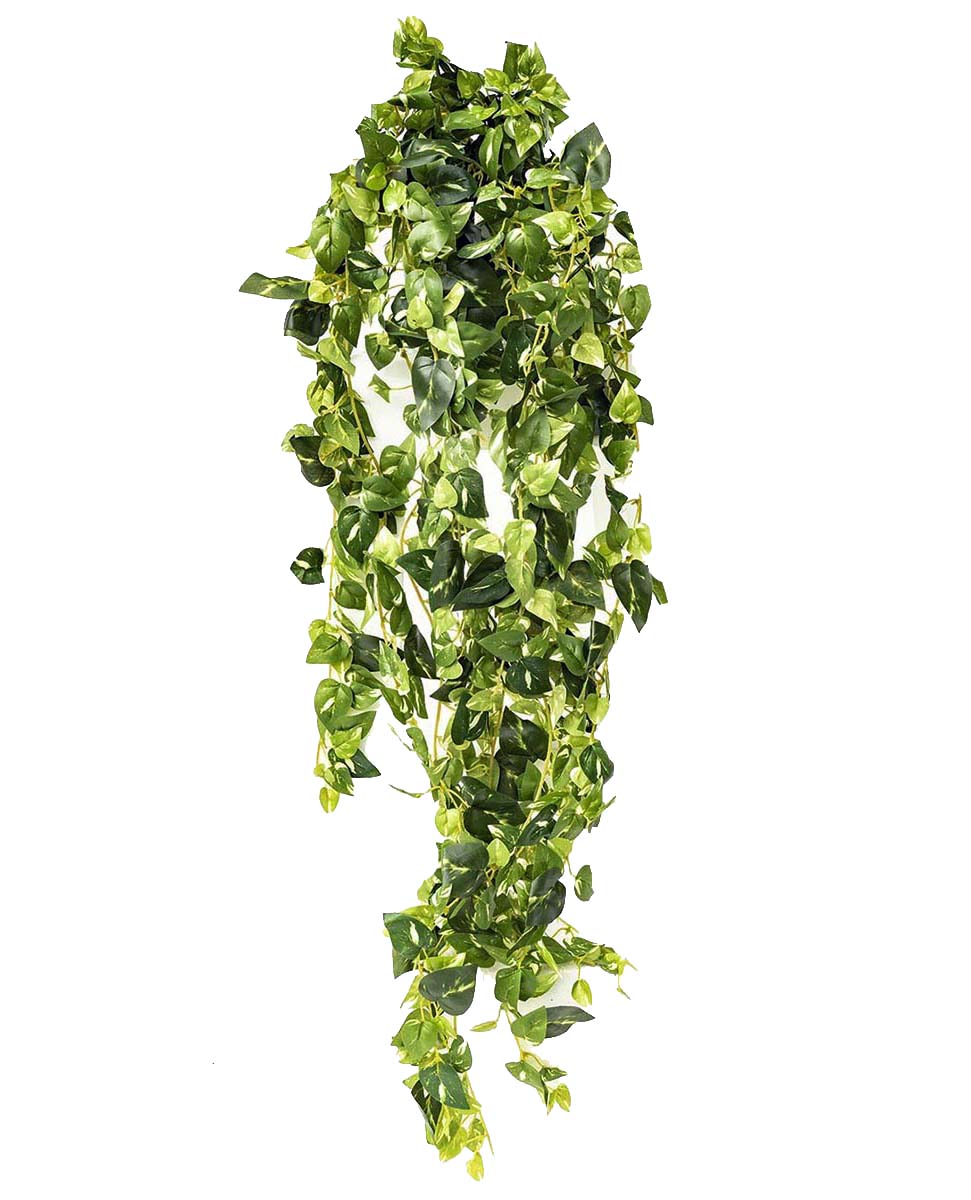 Artificial miniature Xanadu with heart shaped variegated leaves