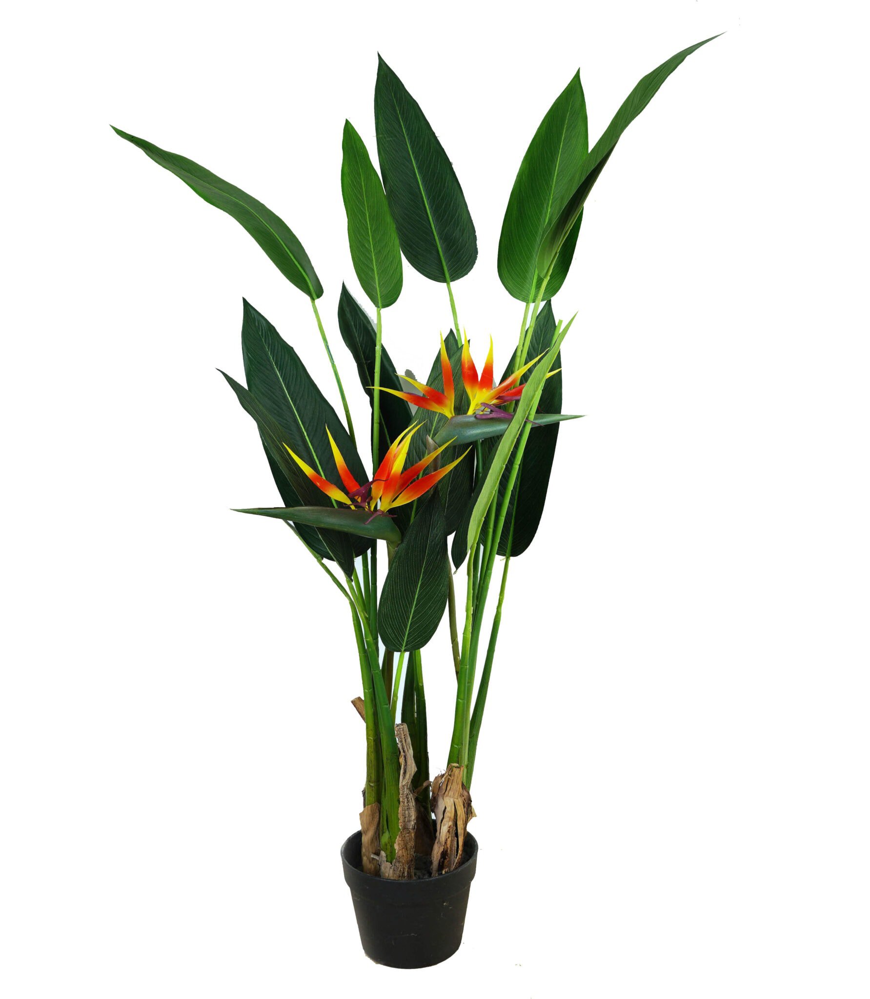 Artificial Strelitzia Reginae | ReadyLeaf