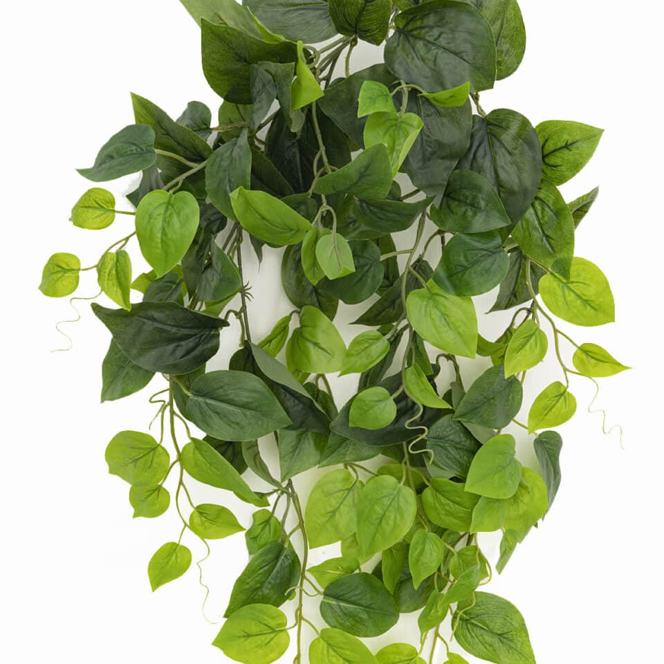 Artificial Zebra Vine - ReadyLeaf