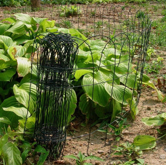 Garden Border Fence Roll