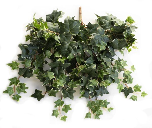 Artificial French Cascade Ivy is a good looking ivy choice with dark ...