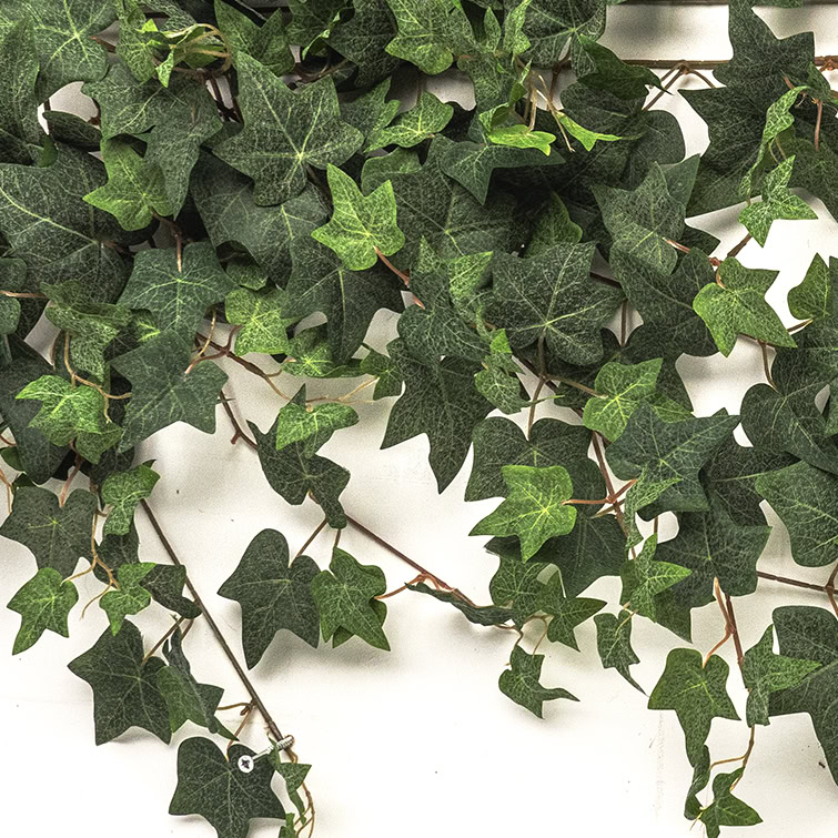 Artificial Cyprus Ivy