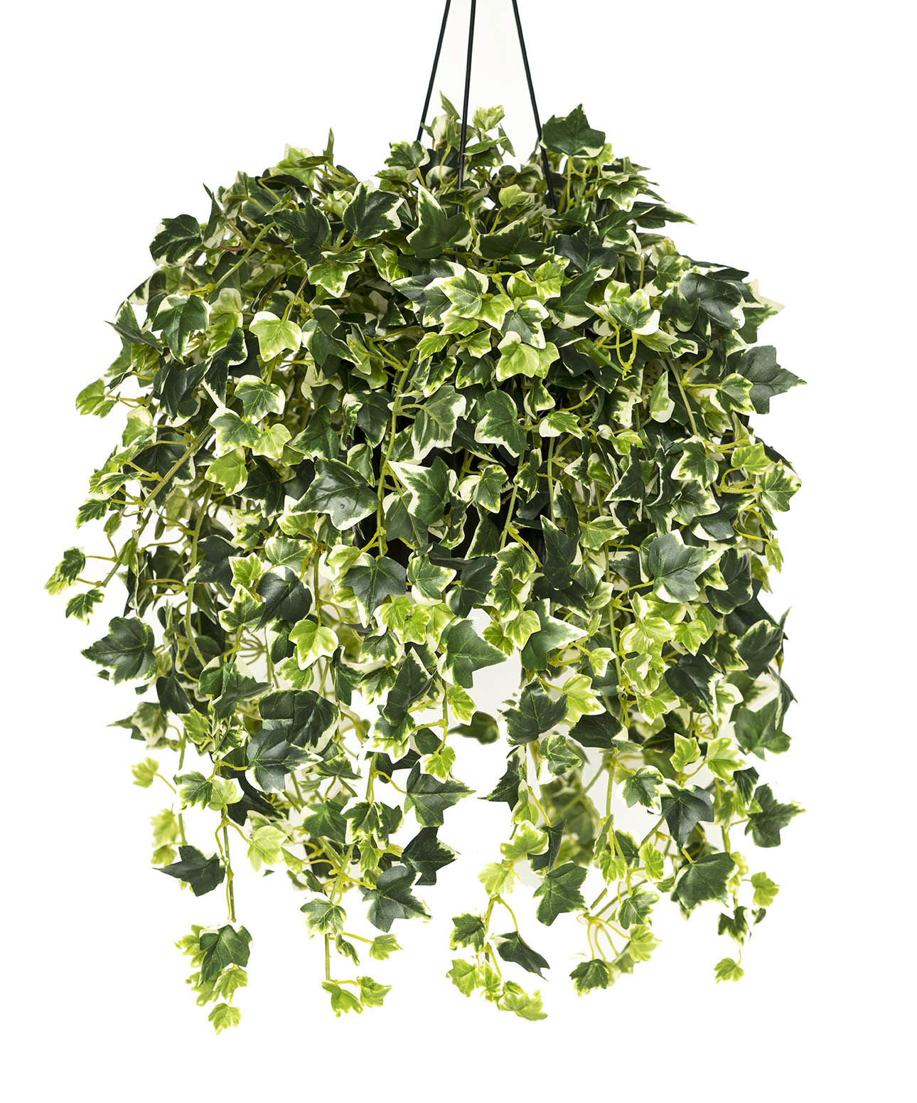 Artificial miniature Variegated Ivy hanging plant.